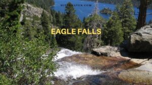 Eagle Falls Washington - Hike | Trail | Description - Hippo Haven
